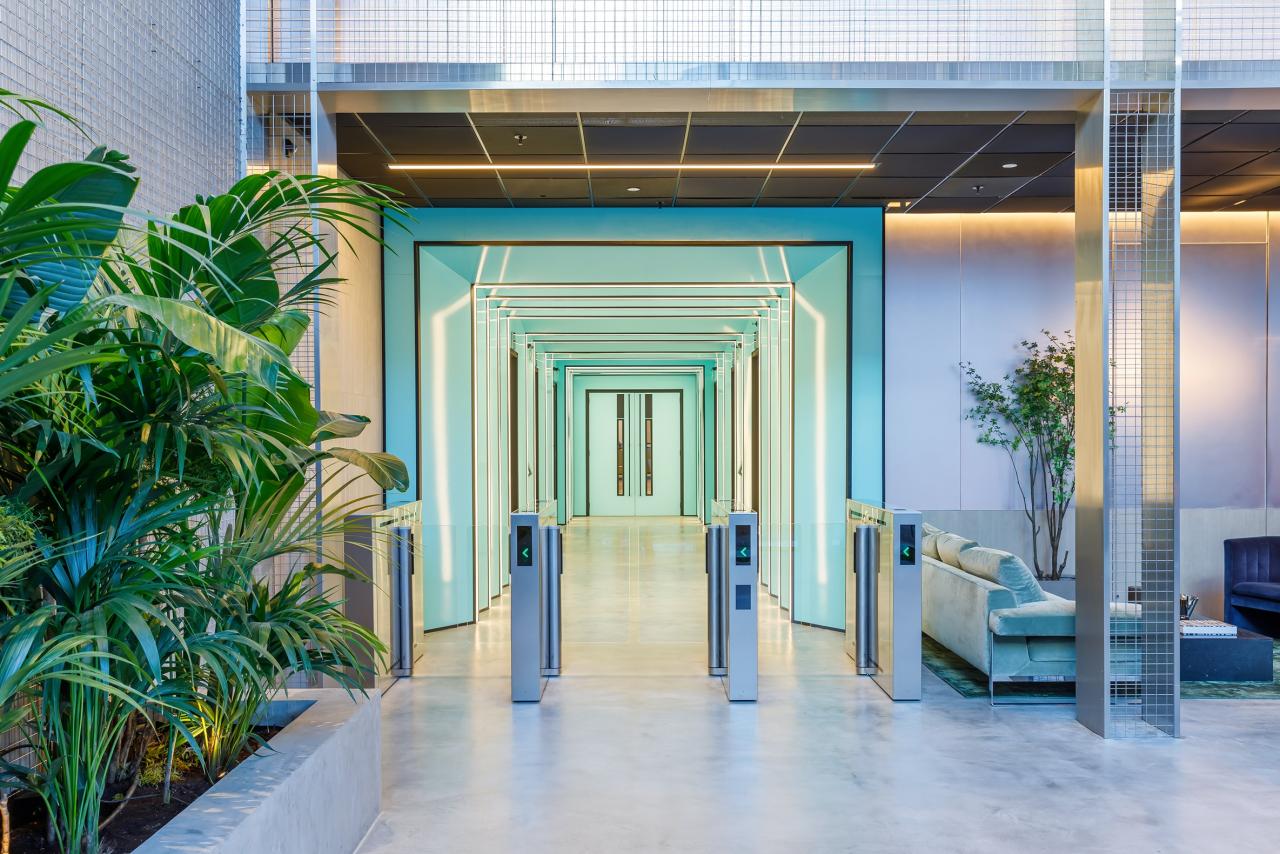 Ilona Rose House Signature Speedlane Beveiligingspoortjes | Boon Edam